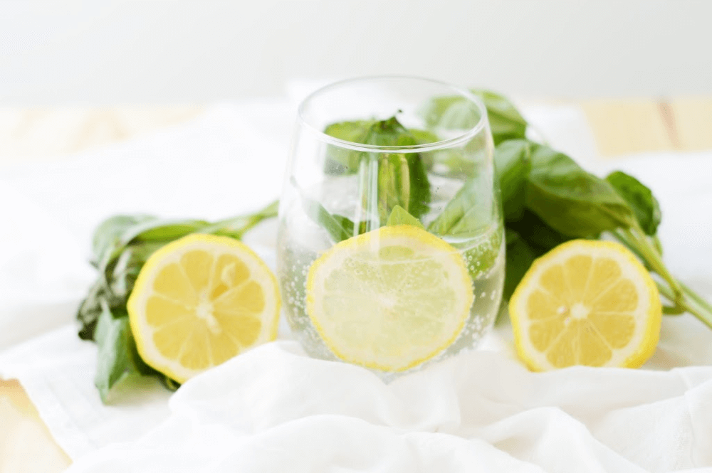 Easy Lemon Basil Hard Seltzer | Distillata